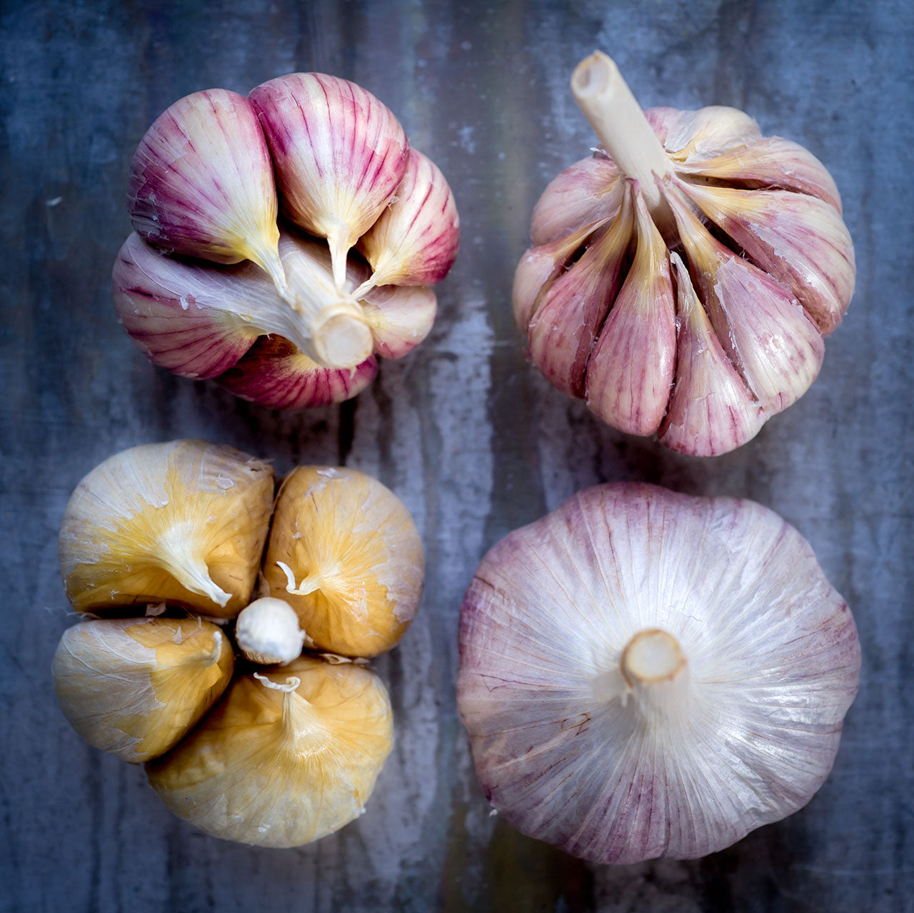 Sampler of 4 hard-neck garlics fresh | ChefShop.com – ChefShop.Com