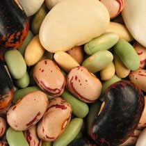 Gourmet Beans for Sale | High-Quality Organic Beans Online – ChefShop.Com