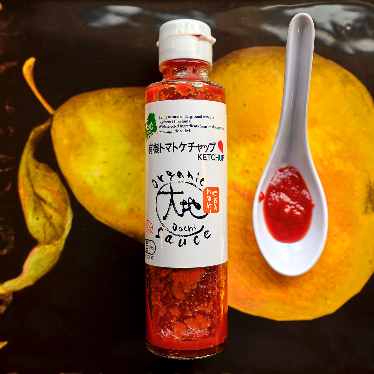 Organic Japanese Umami Ketchup | ChefShop.com – ChefShop.Com