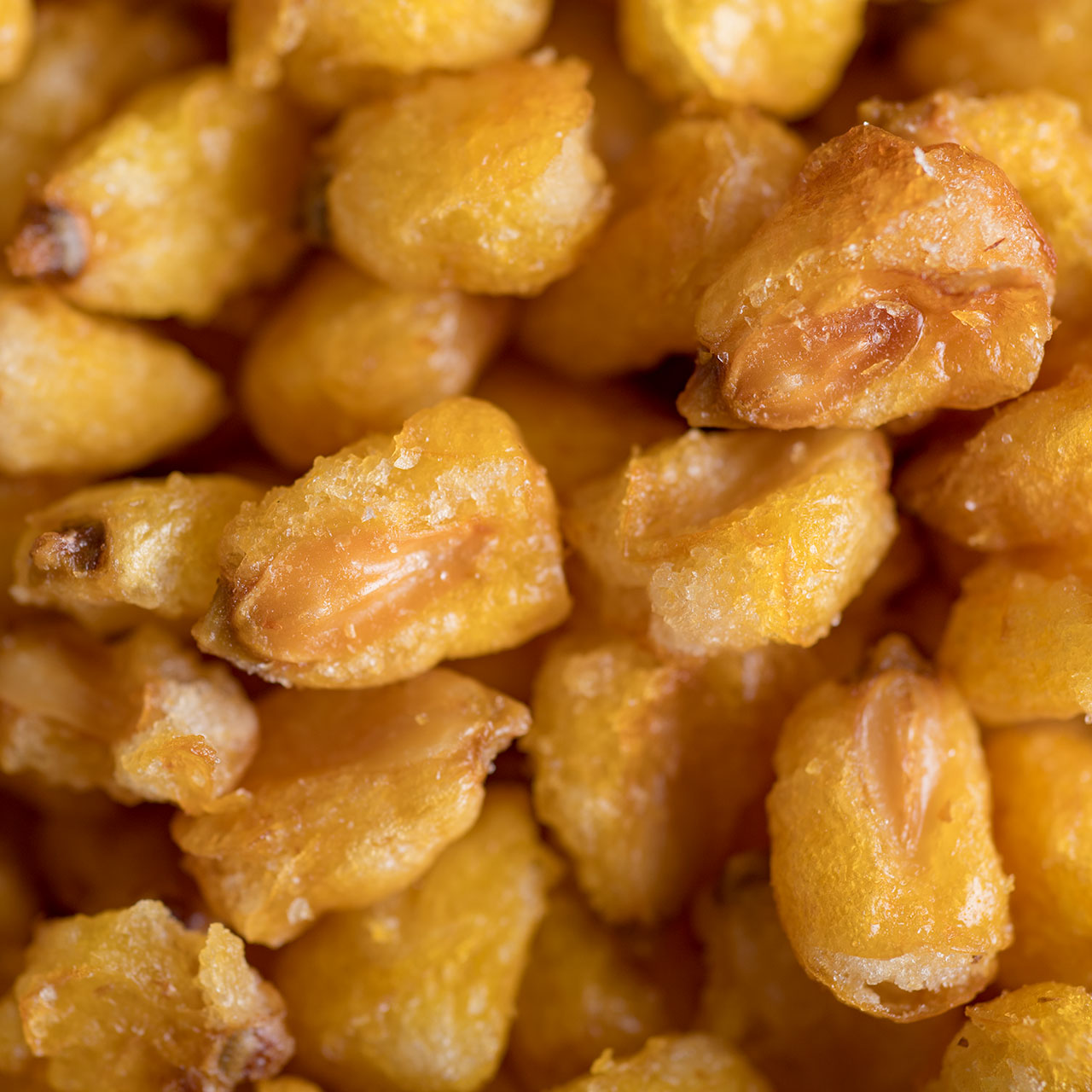 Toasted Corn Kernels (Non-GMO) - 10oz Bag | Chef Shop – ChefShop.Com